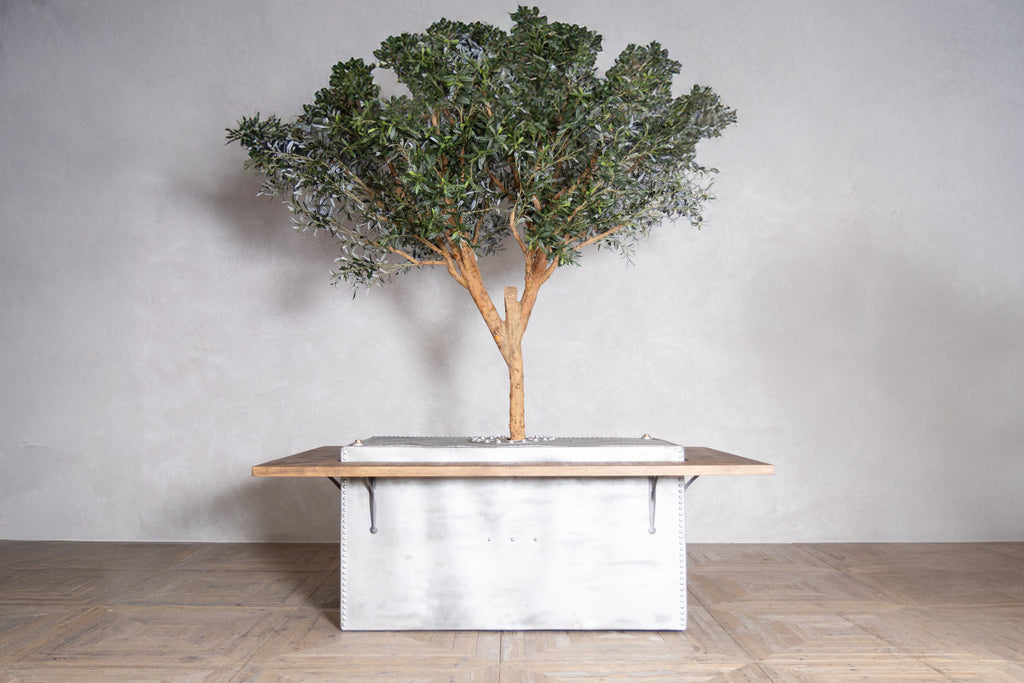 Olive Tree Dining Table – Peppermill Interiors